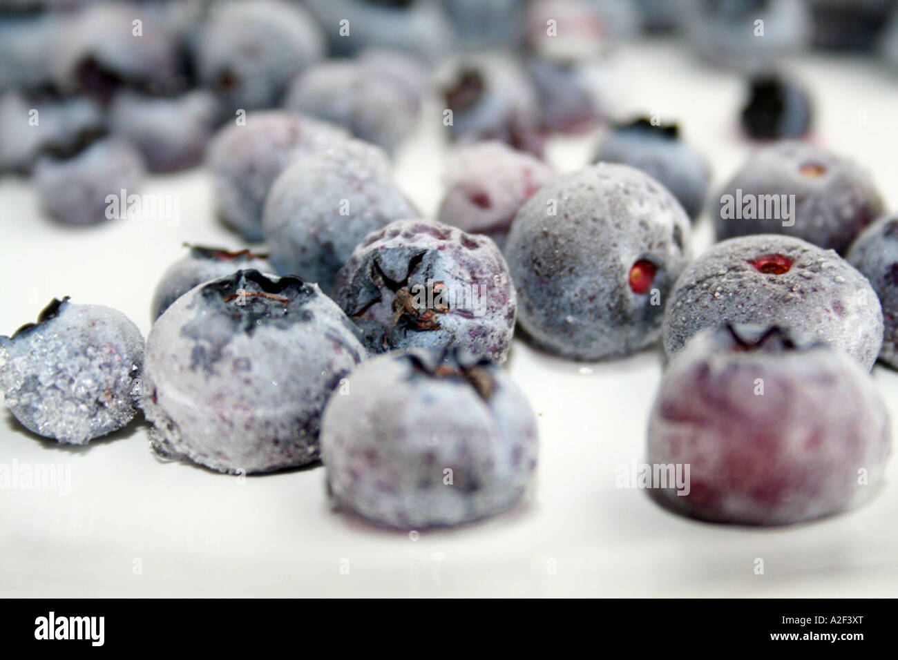 frozen blue berries Stock Photo - Alamy