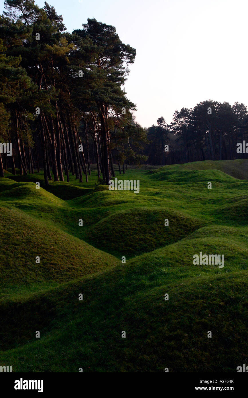 The remains of trenches and shellholes at the Vimy Ridge memorial to ...