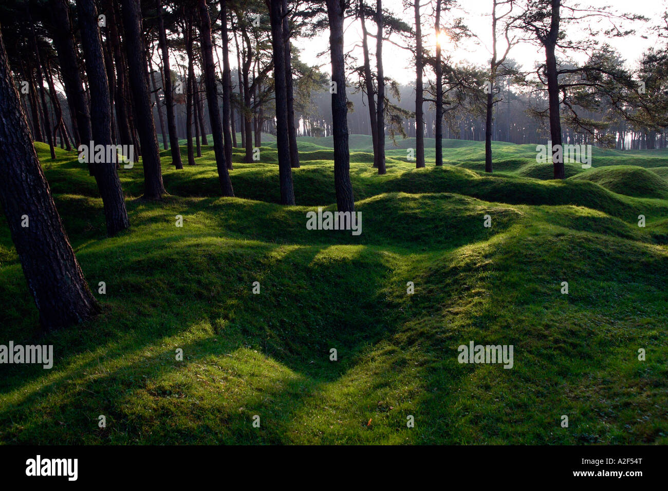 The remains of trenches and shellholes at the Vimy Ridge memorial to ...
