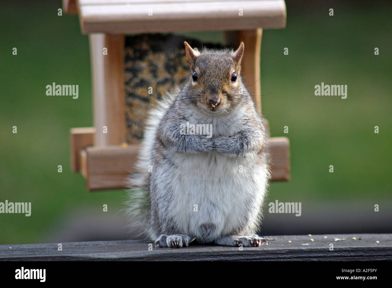 Lunching tree hi-res stock photography and images - Alamy