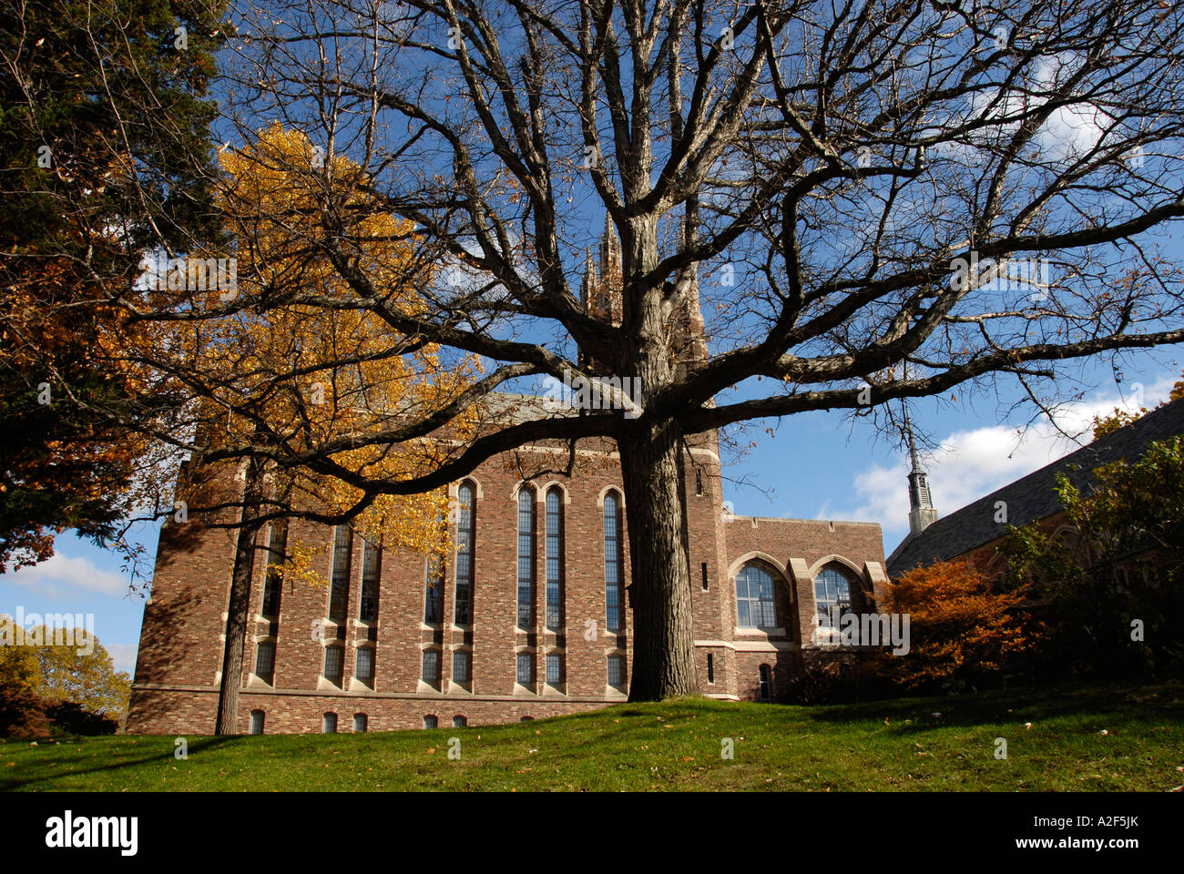 Colgate rochester hi-res stock photography and images - Alamy