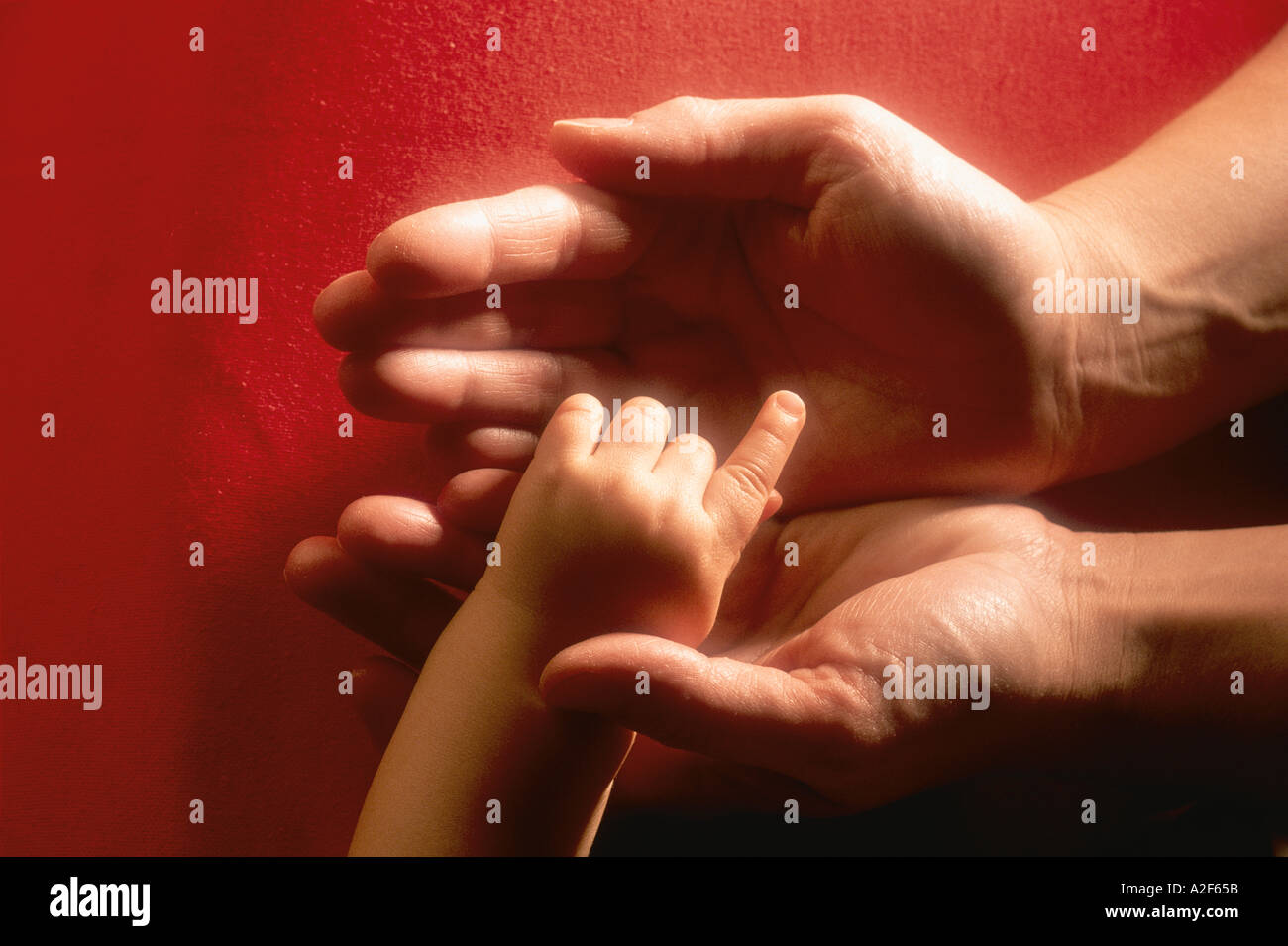 ADULT HANDS HOLDING BABY'S HAND Stock Photo - Alamy
