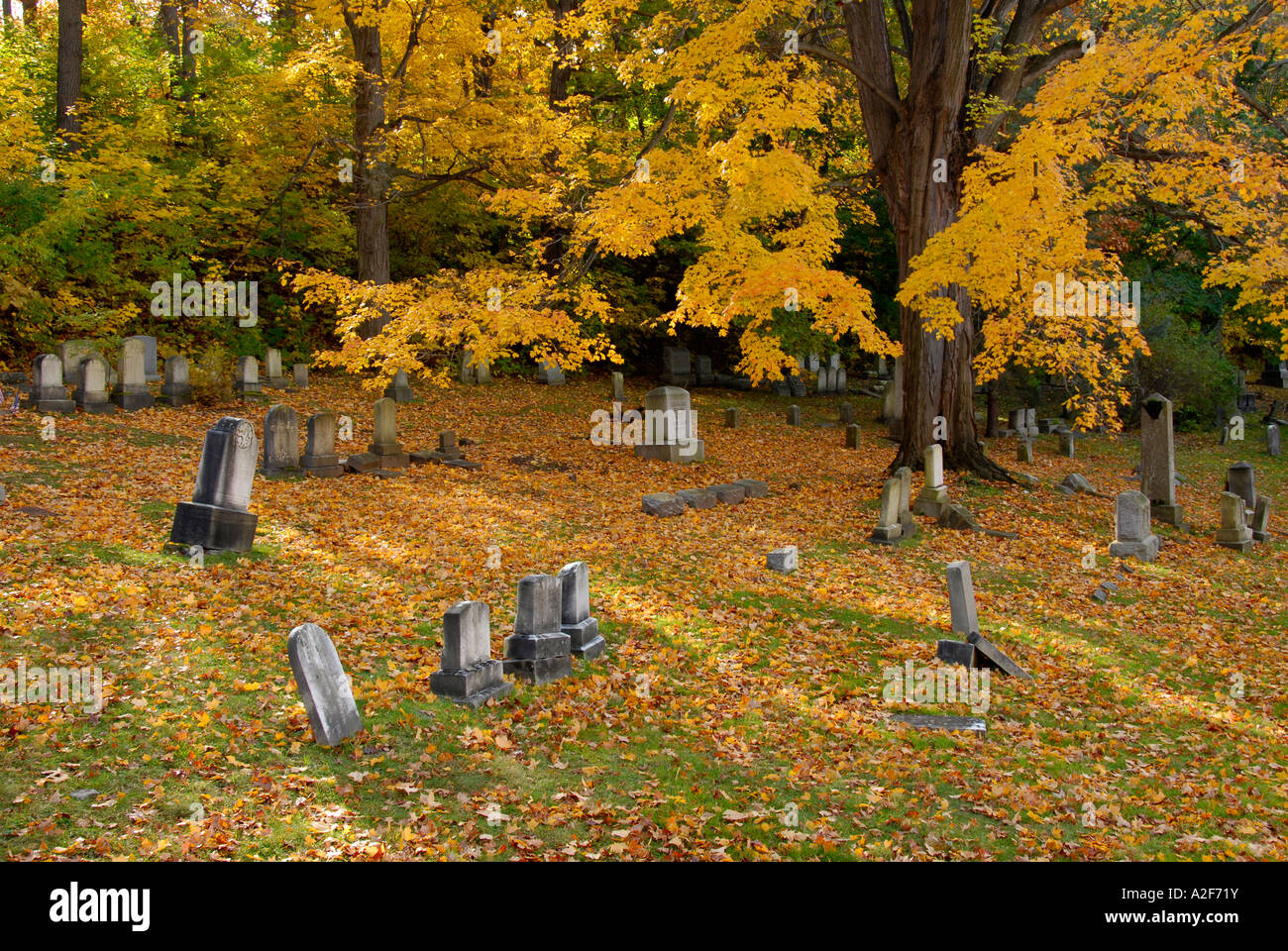 Autumn scene in cemetery Stock Photo - Alamy
