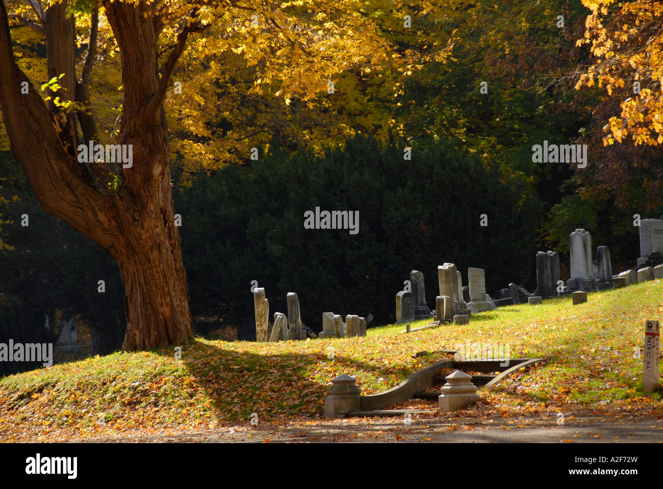 Autumn scene in cemetery Stock Photo - Alamy