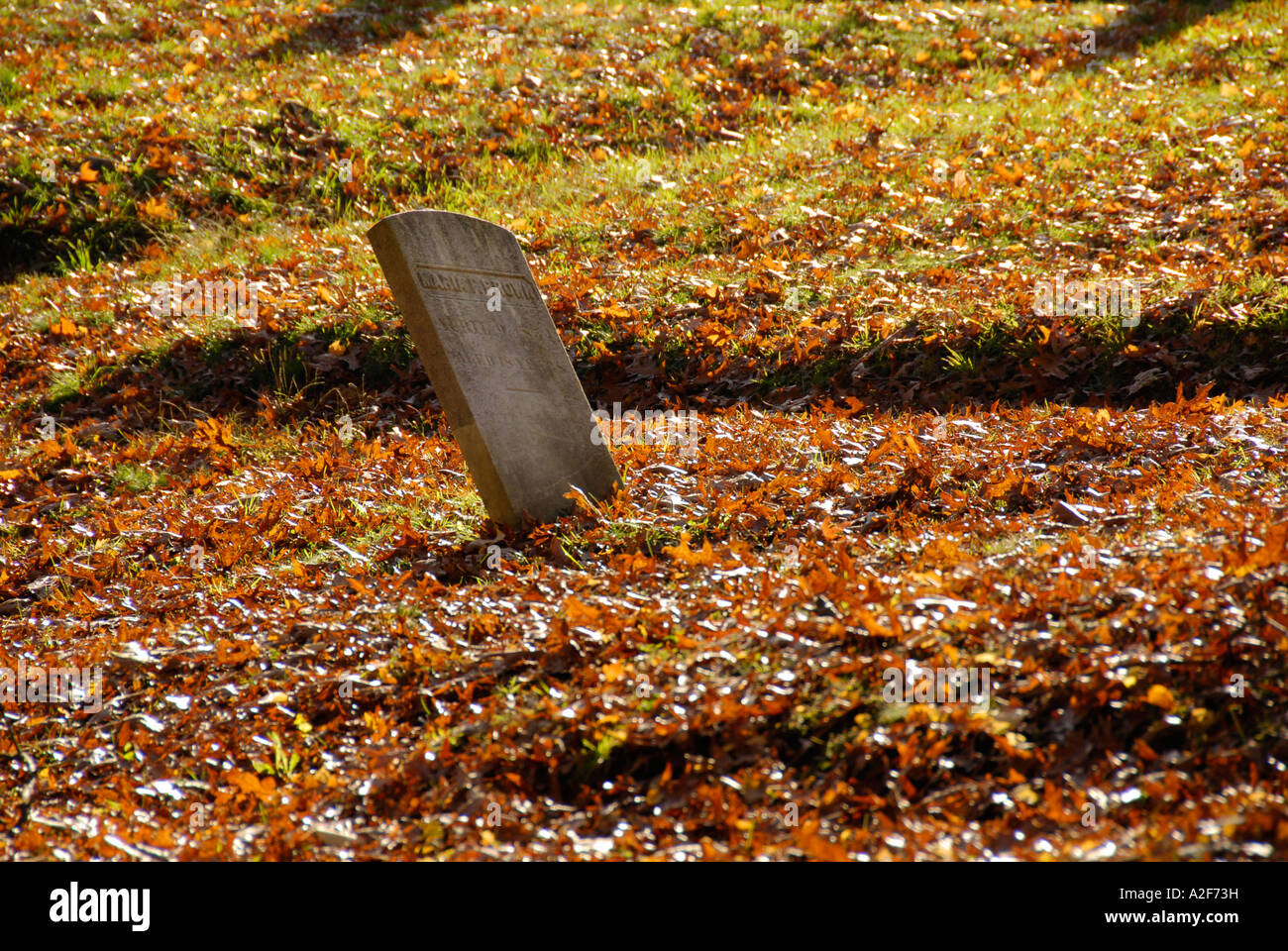Autumn scene in cemetery Stock Photo - Alamy