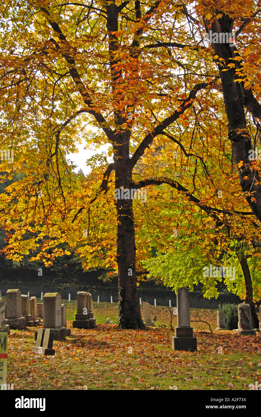 Autumn scene in cemetery Stock Photo - Alamy