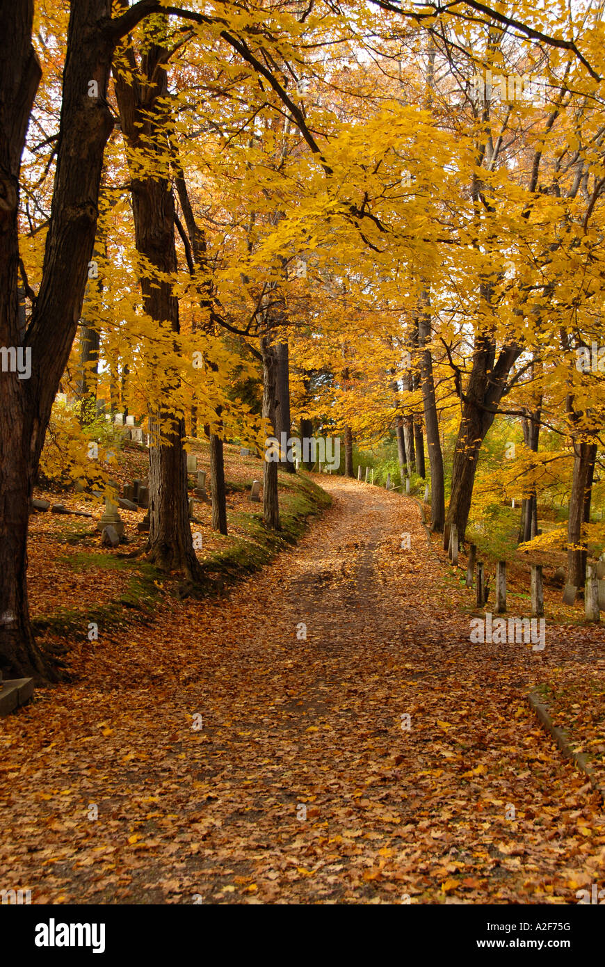 Autumn scene in cemetery Stock Photo - Alamy