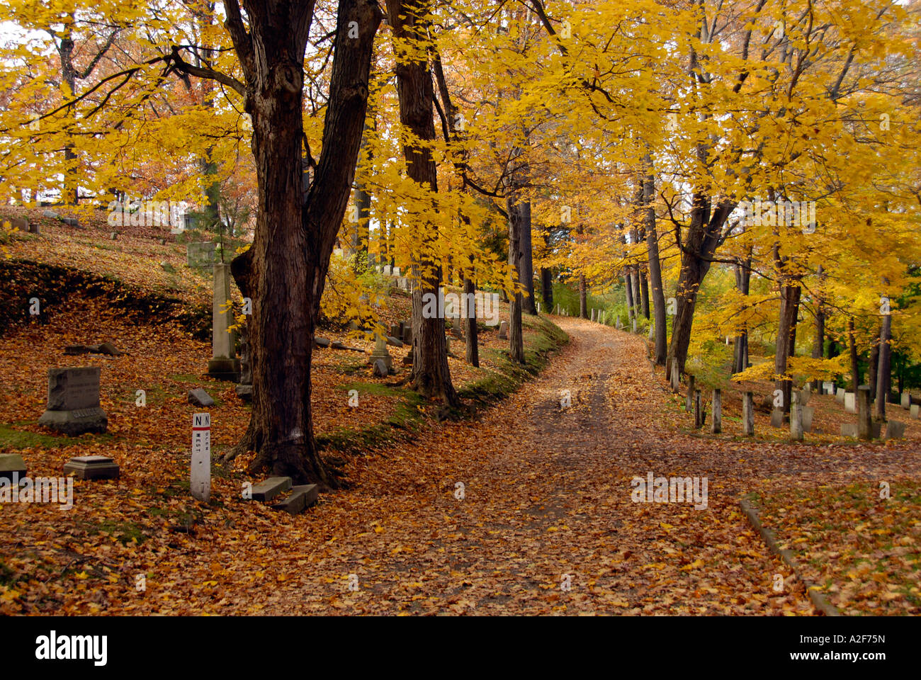 Autumn scene in cemetery Stock Photo - Alamy