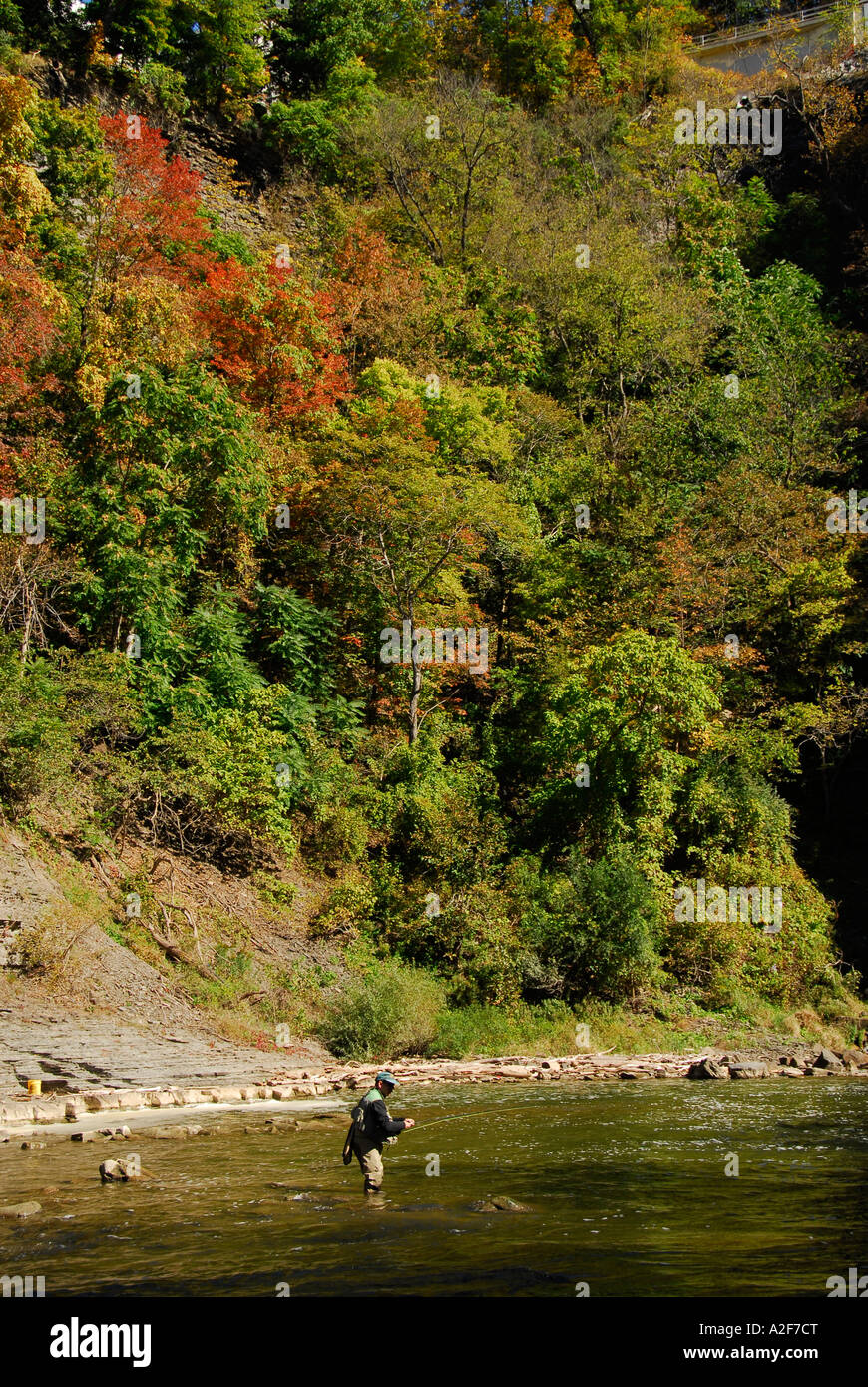 Vertical ithaca falls hi-res stock photography and images - Alamy