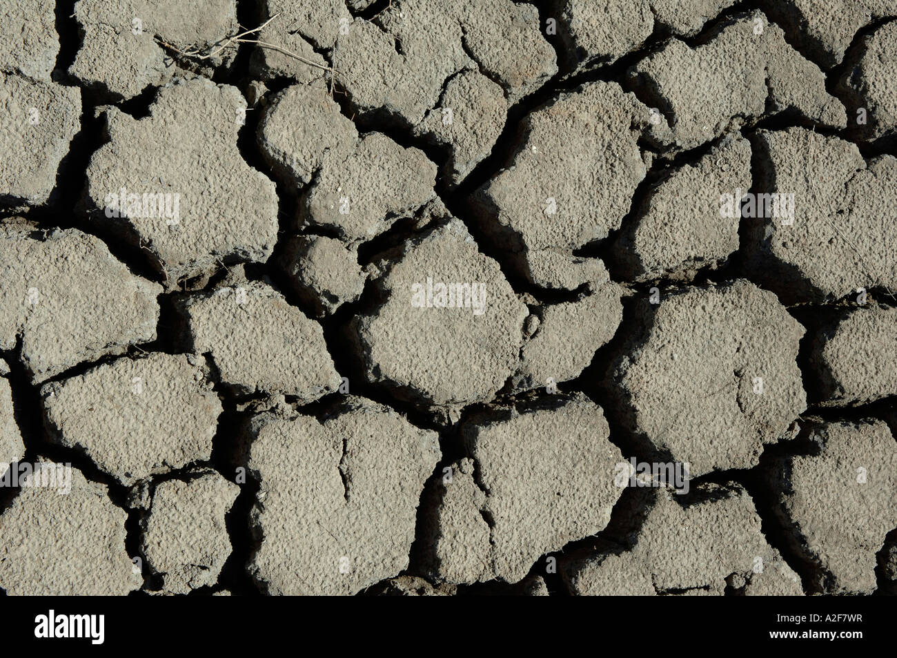Clods dry soil hi-res stock photography and images - Alamy