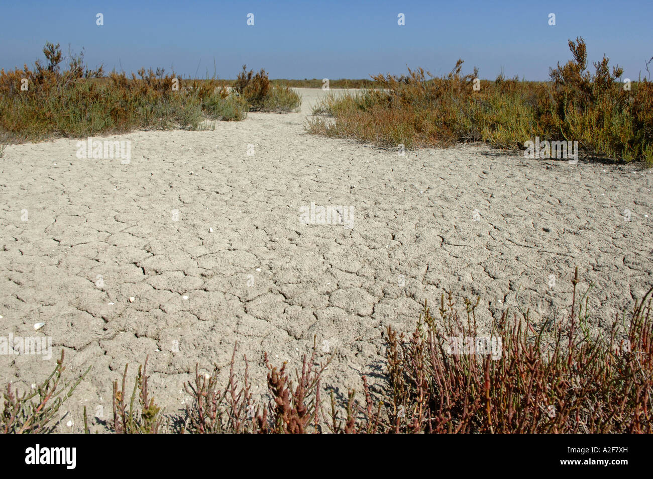 Clods of dry soil hi-res stock photography and images - Alamy