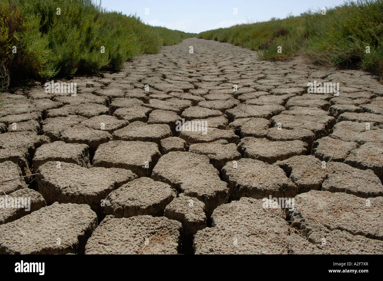 Clods dry soil hi-res stock photography and images - Alamy