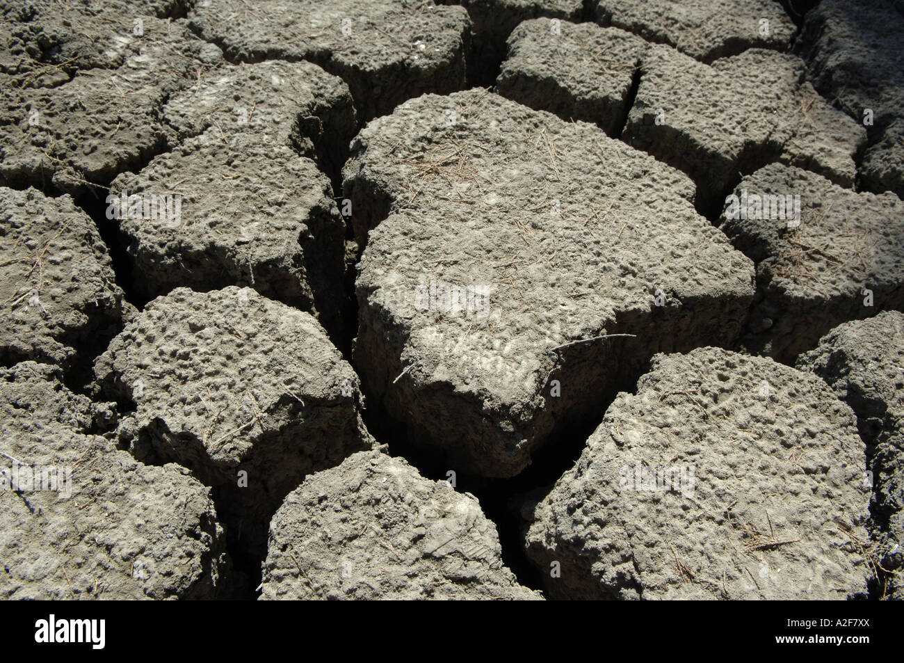 Clods of dry soil hi-res stock photography and images - Alamy