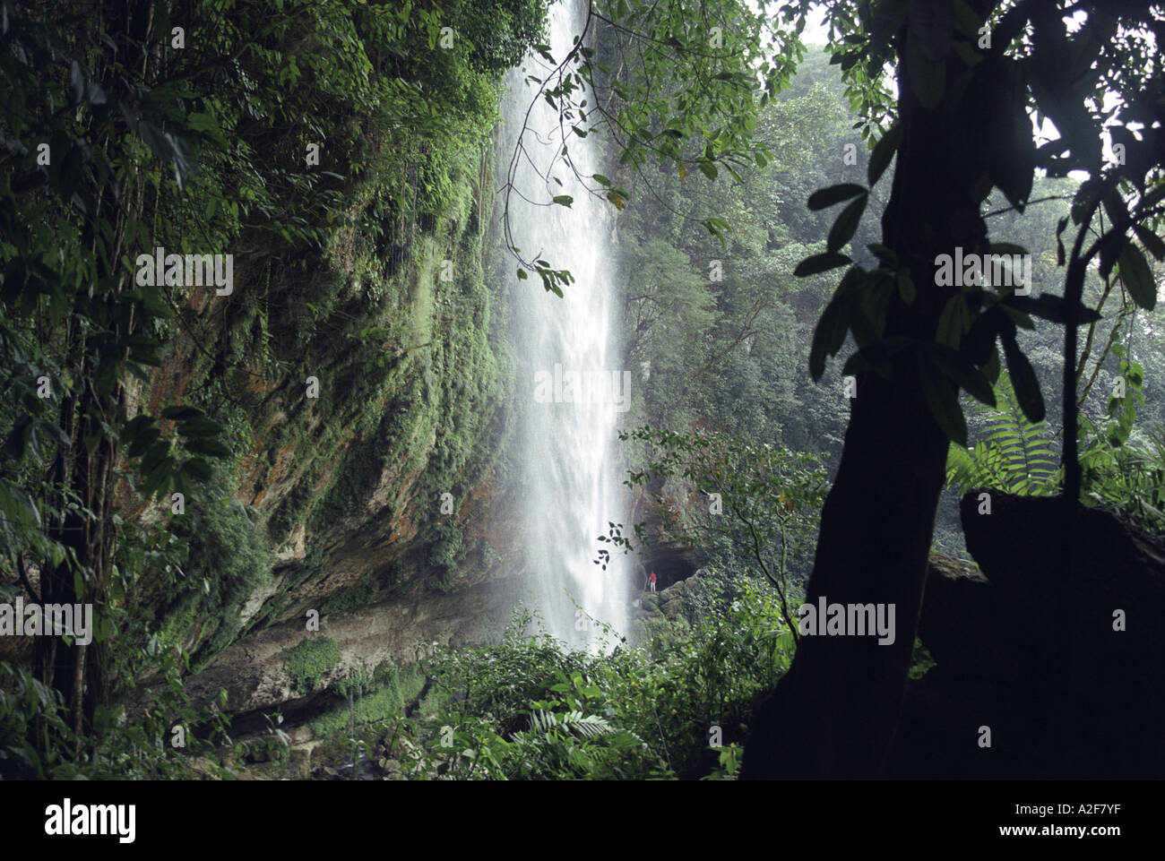 Misol ha palenque hi-res stock photography and images - Alamy