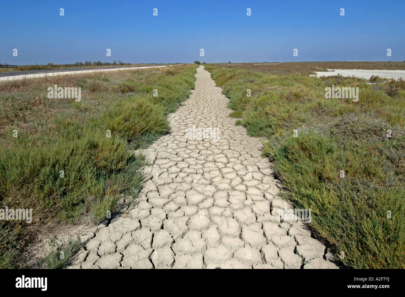 clods in a desiccated streambed Stock Photo - Alamy