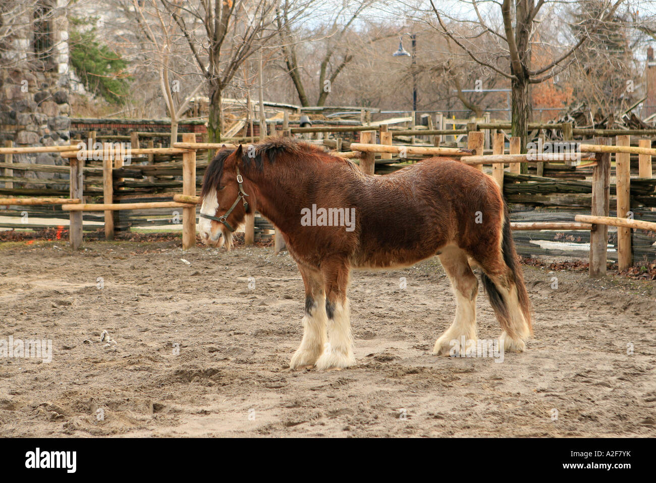 Riverdale farm downtown toronto ontario hi-res stock photography and ...