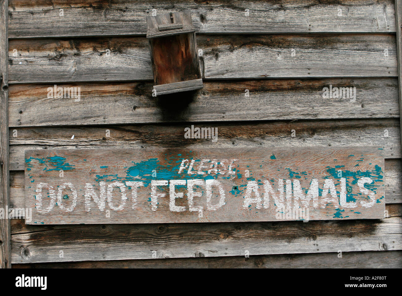 Riverdale Farm downtown Toronto - Ontario, Canada Stock Photo - Alamy