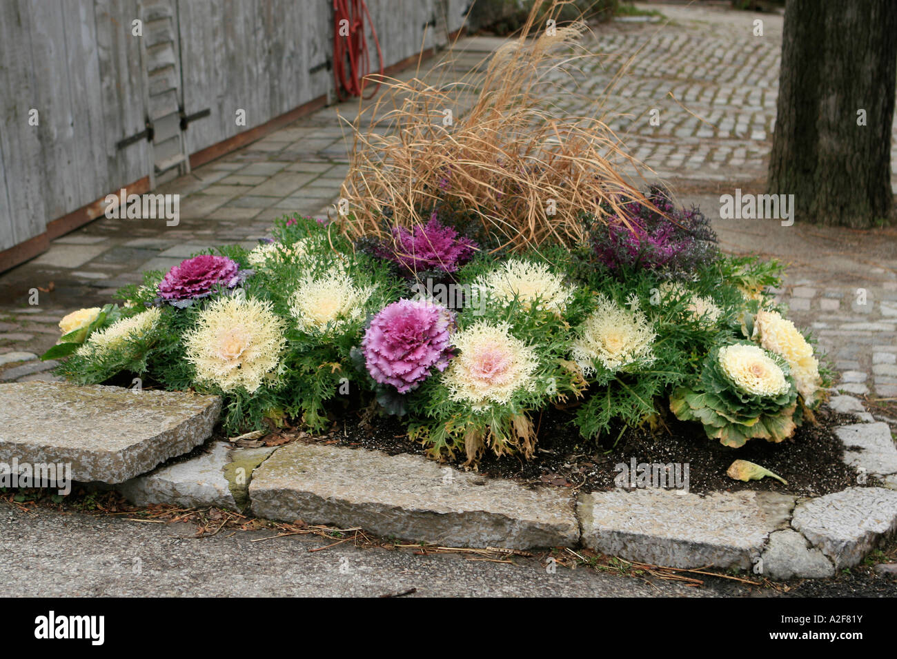 Riverdale Farm downtown Toronto - Ontario, Canada Stock Photo - Alamy