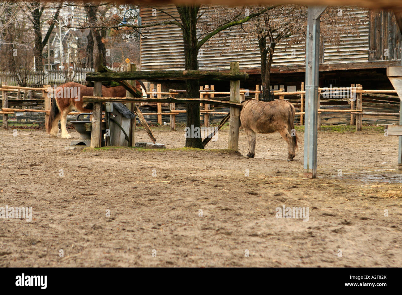 Farmer ontario sheep hi-res stock photography and images - Alamy