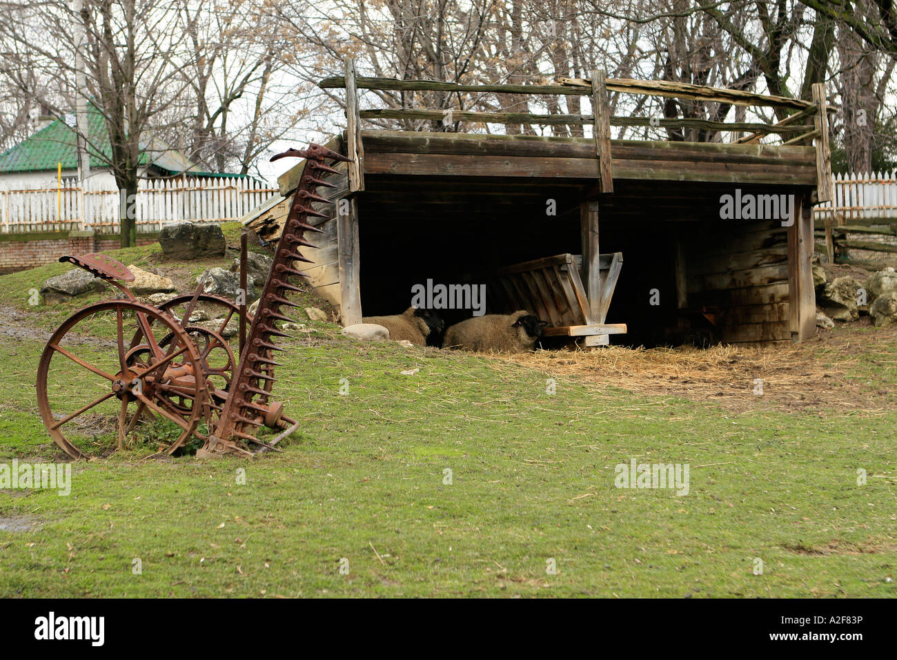 Riverdale farm downtown toronto ontario hi-res stock photography and ...