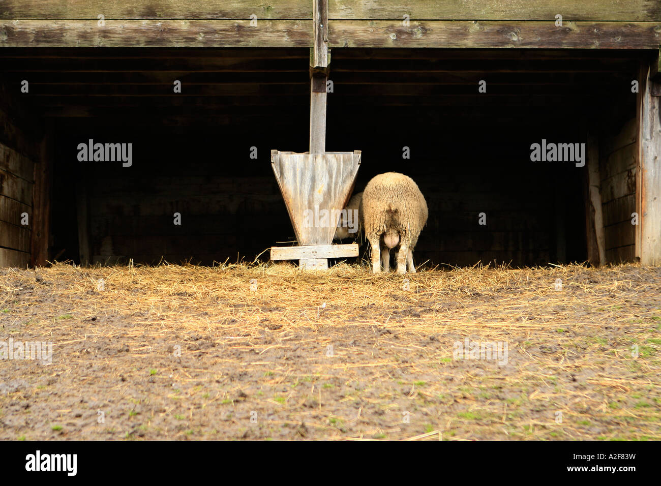 Riverdale Farm downtown Toronto Ontario Canada Stock Photo - Alamy