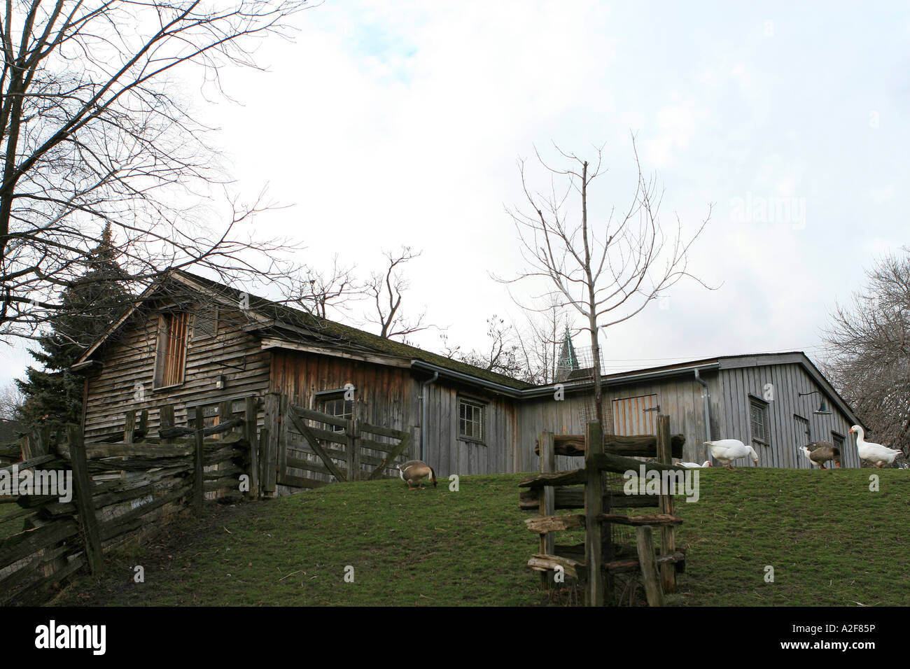 Riverdale Farm downtown Toronto Ontario Canada Stock Photo - Alamy