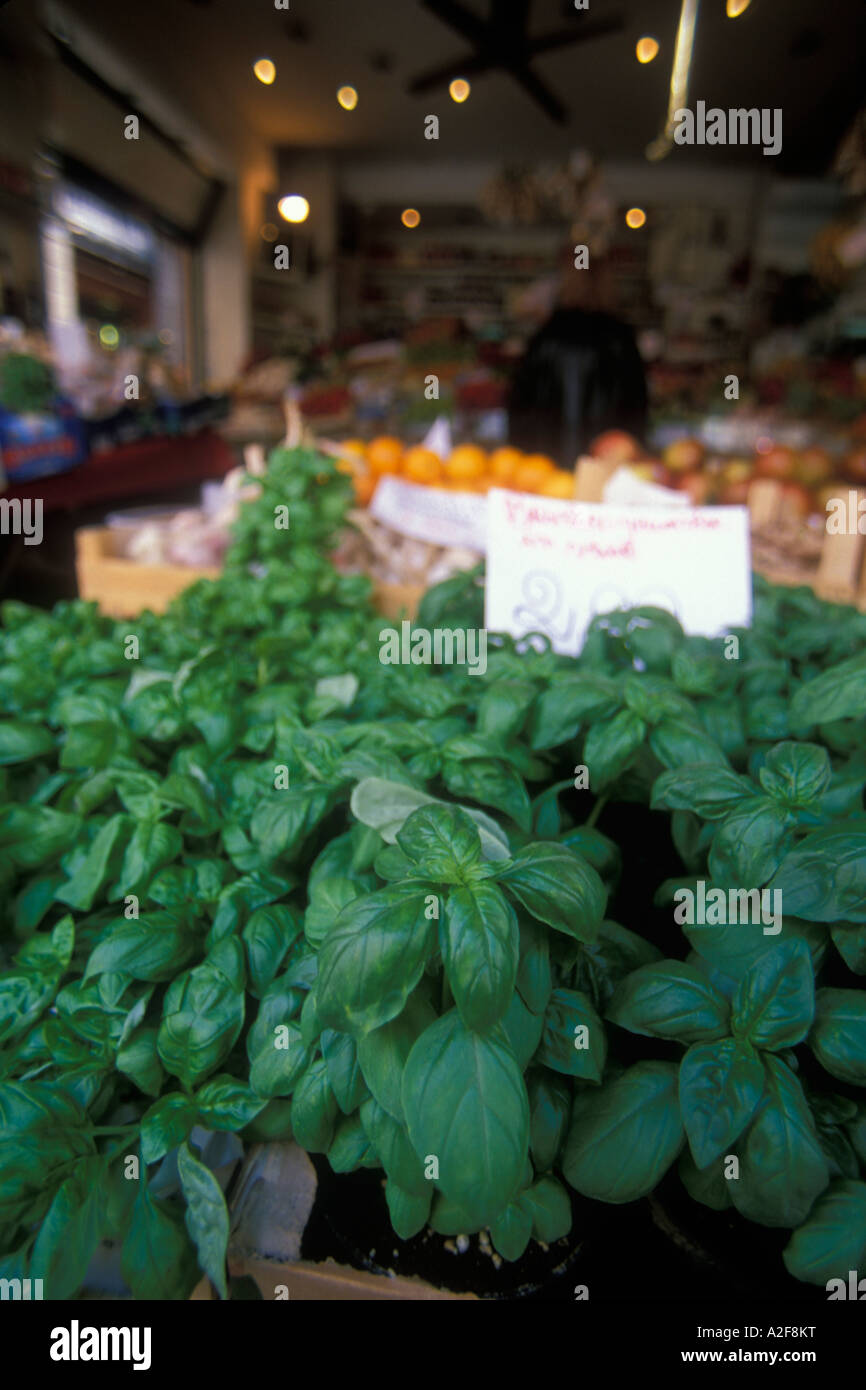Basil for sale at an Italian market, Bologna, Italy Stock Photo - Alamy