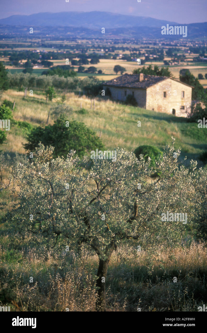 Rustic Italian scenic Stock Photo - Alamy