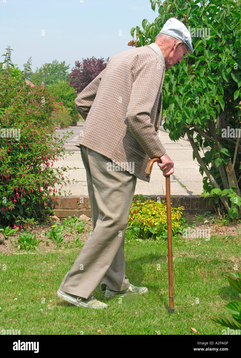 partially disabled elderly man using walking sticks struggling to get ...