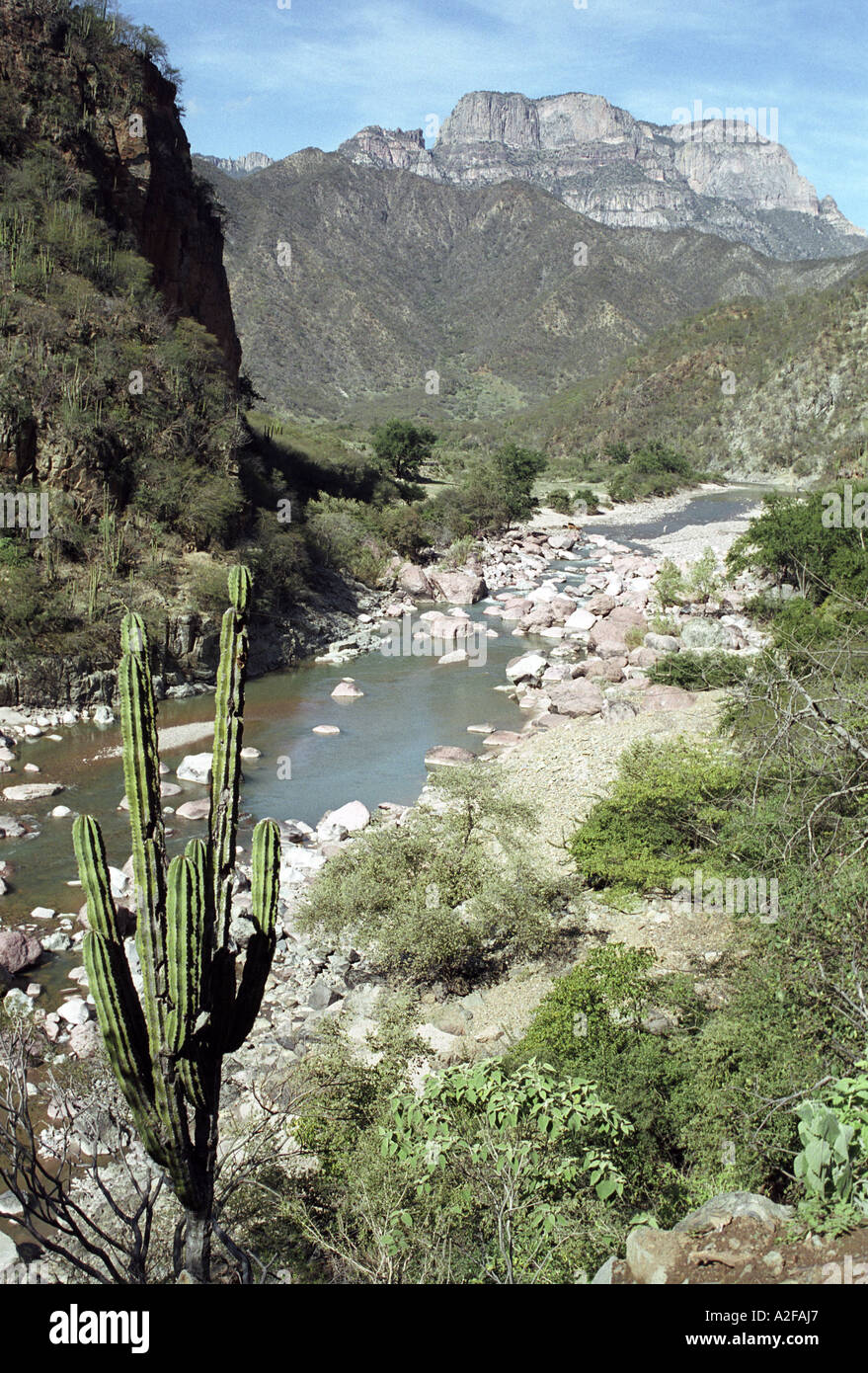 Urique hi-res stock photography and images - Alamy