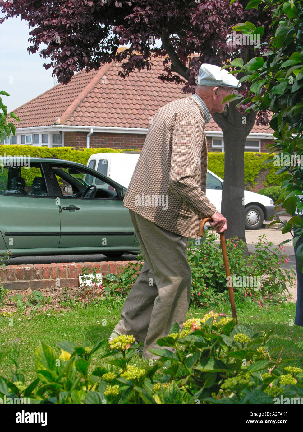 partially disabled elderly man using walking sticks struggling to get ...