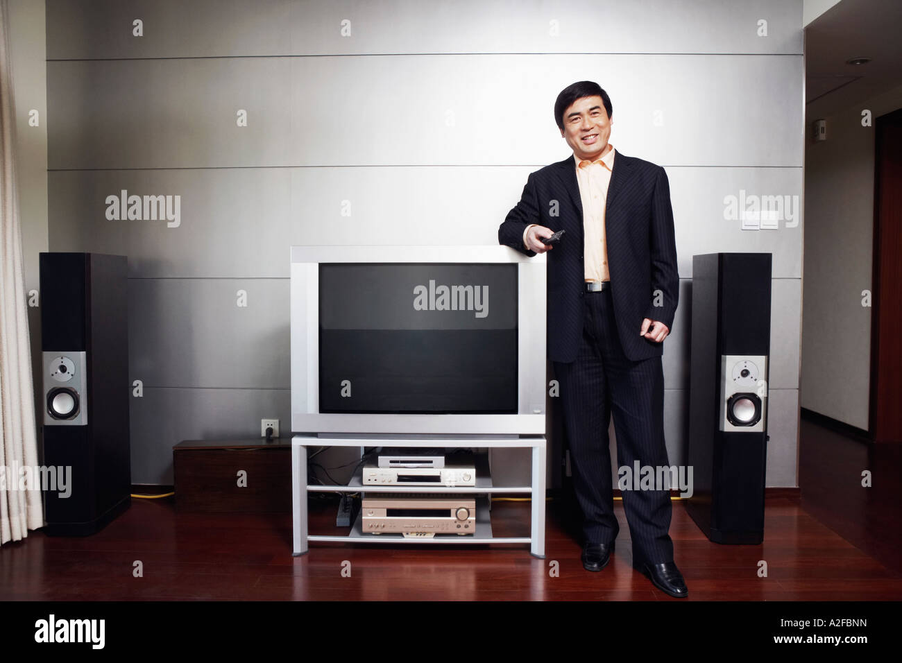 Portrait of a businessman standing by the side of a television smiling ...