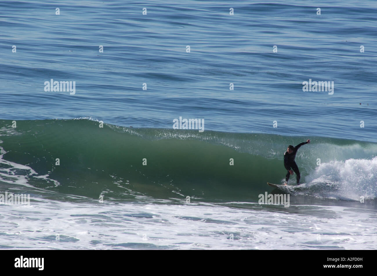 Surfer Riding Wave Stock Photo - Alamy
