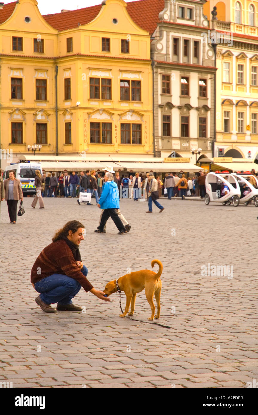 A dog in the Old Town square in central Prague the capital of Czech ...