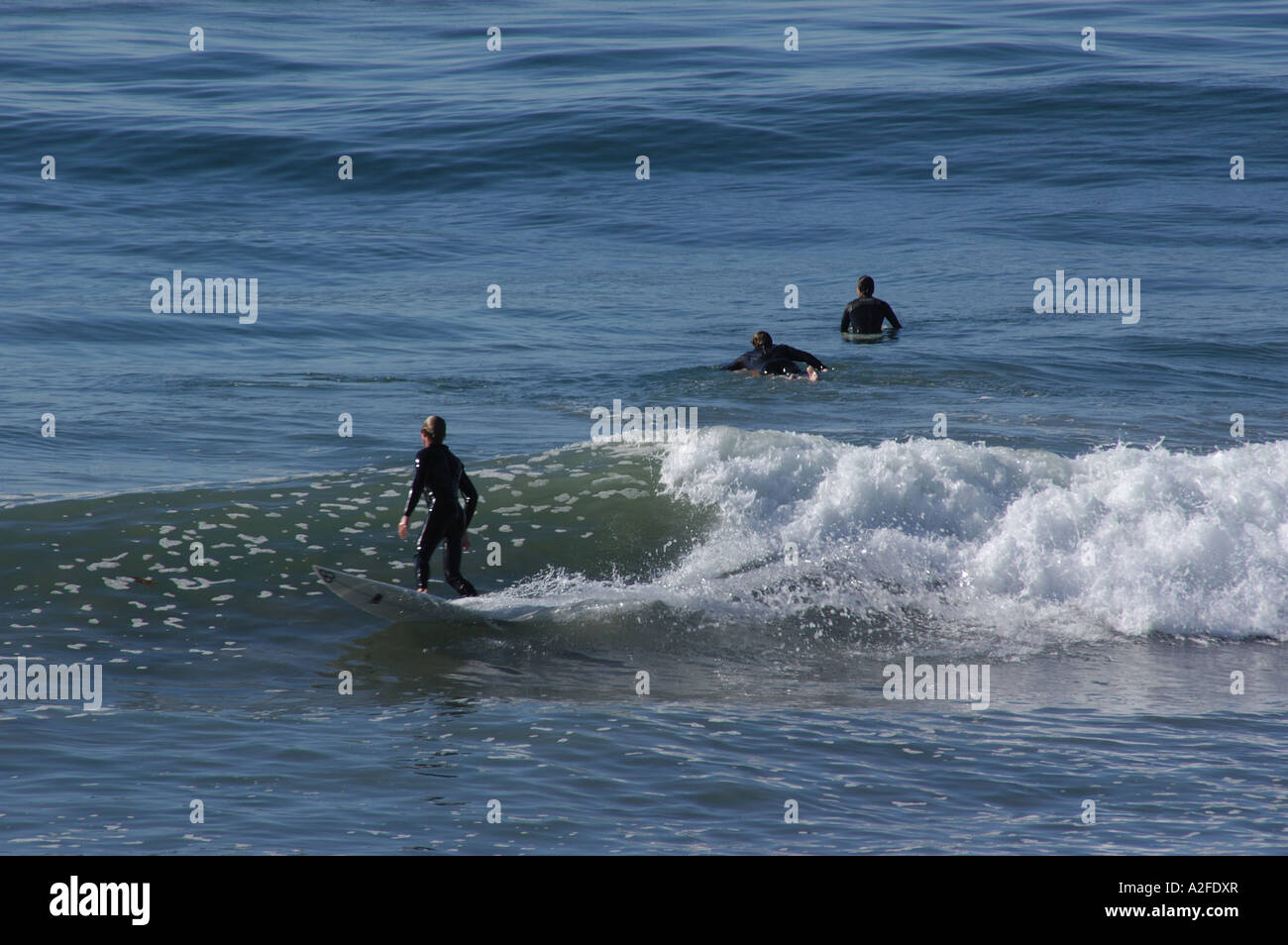 Surfer Riding Wave Stock Photo - Alamy