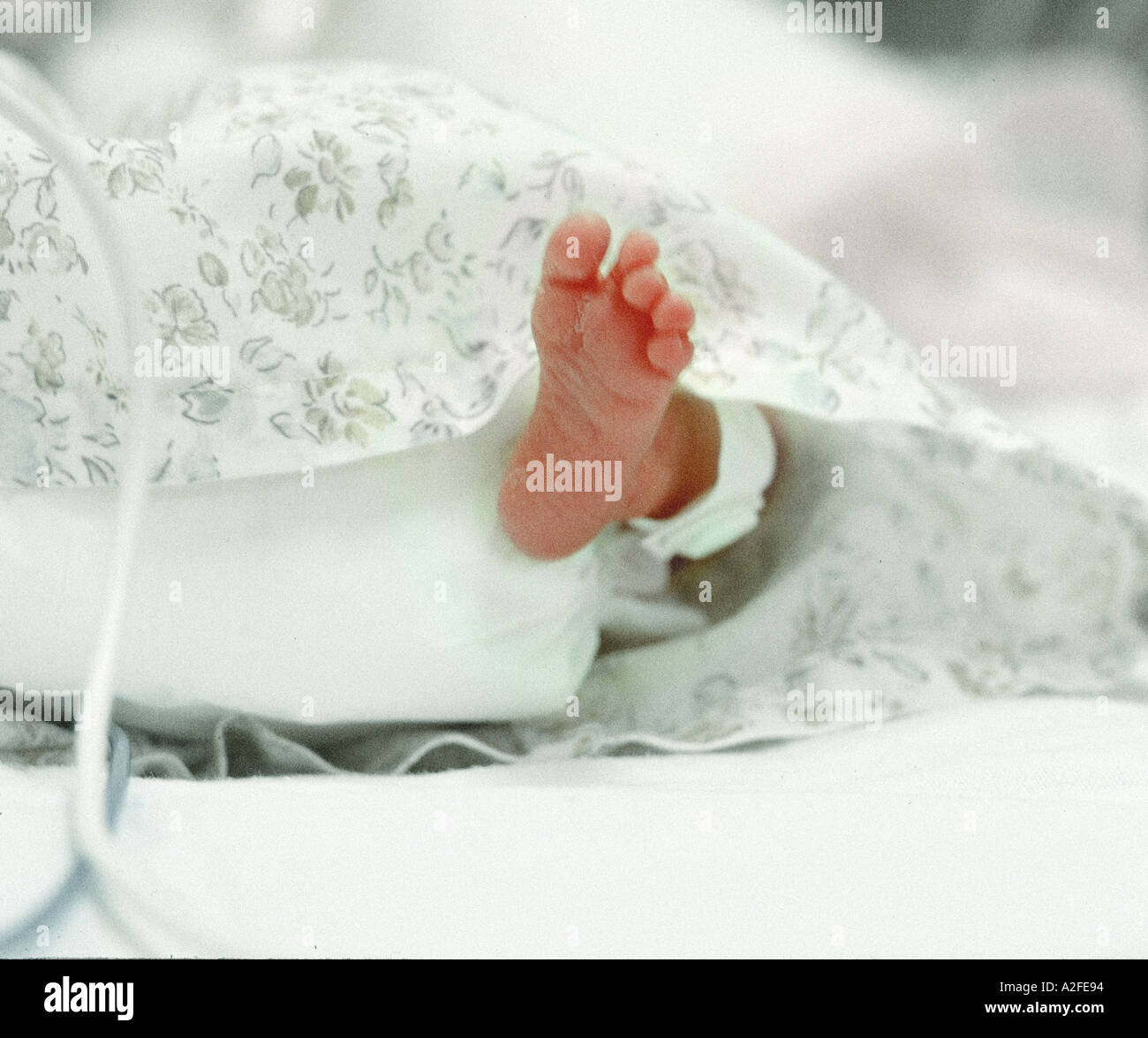Baby incubator foot hi-res stock photography and images - Alamy