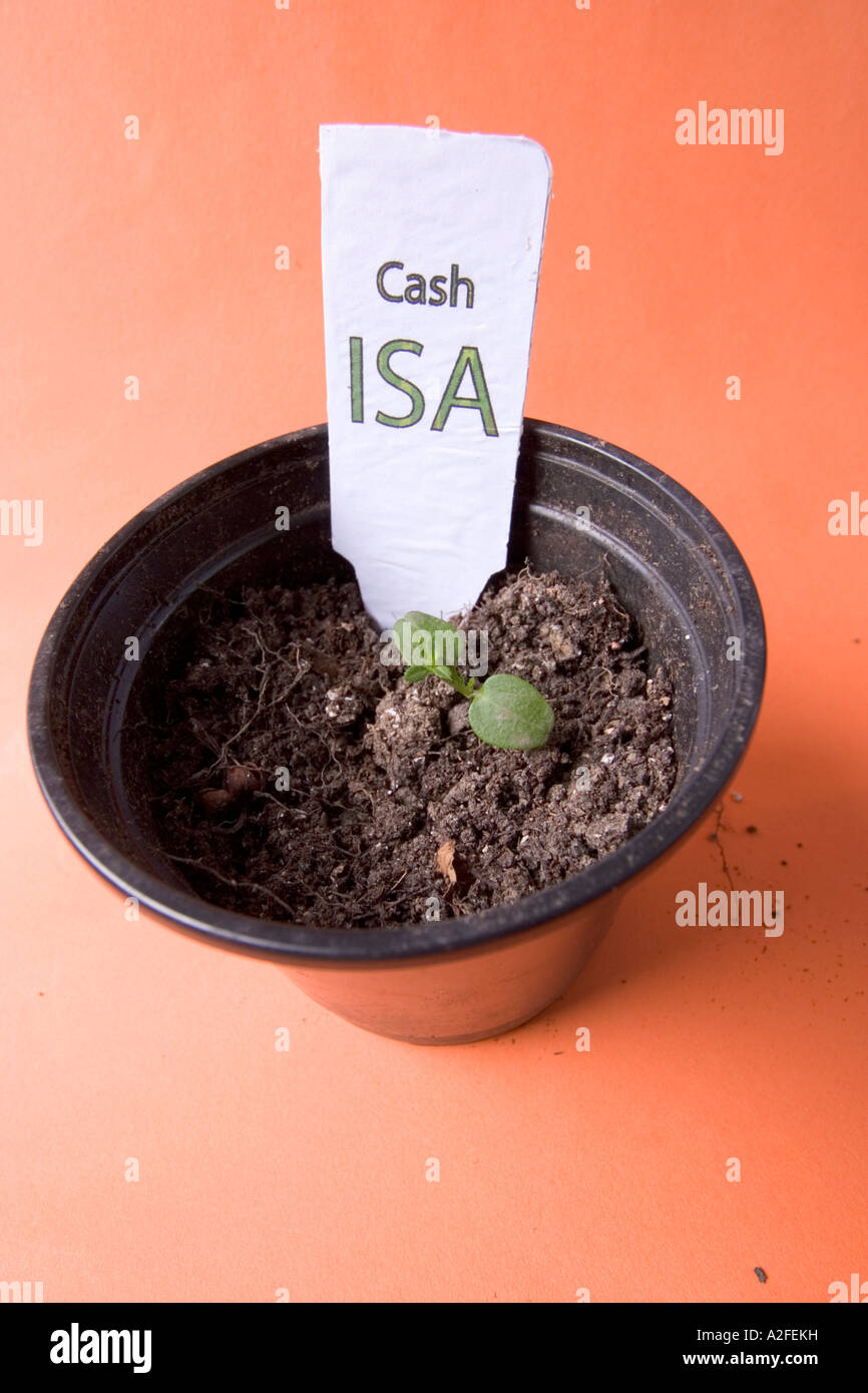 Cash isa ISA individual savings account tax efficient savings account ...