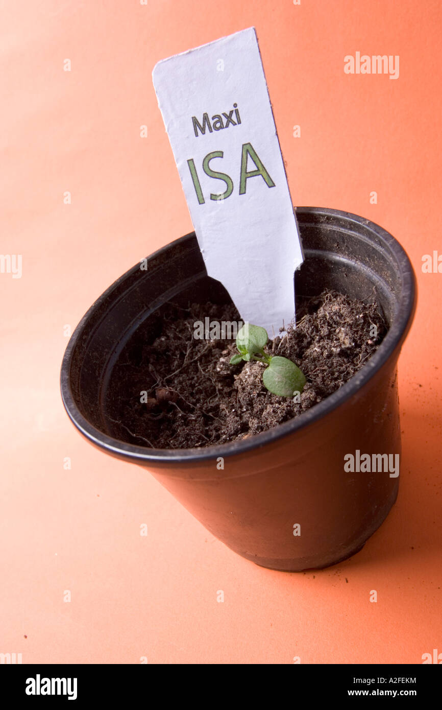 Maxi isa on label ISA individual savings account tax efficient savings ...