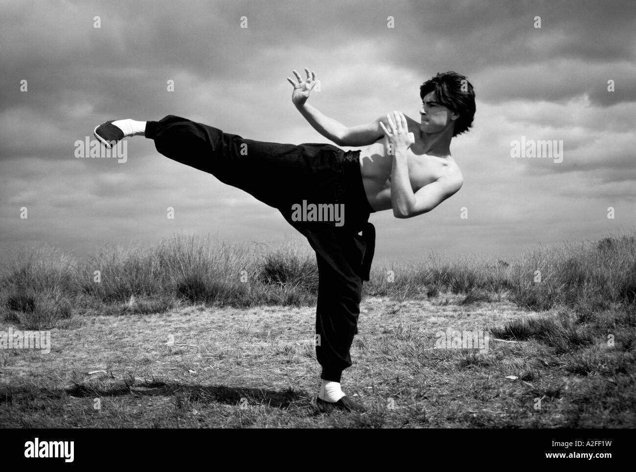 Young man practising martial arts Stock Photo - Alamy
