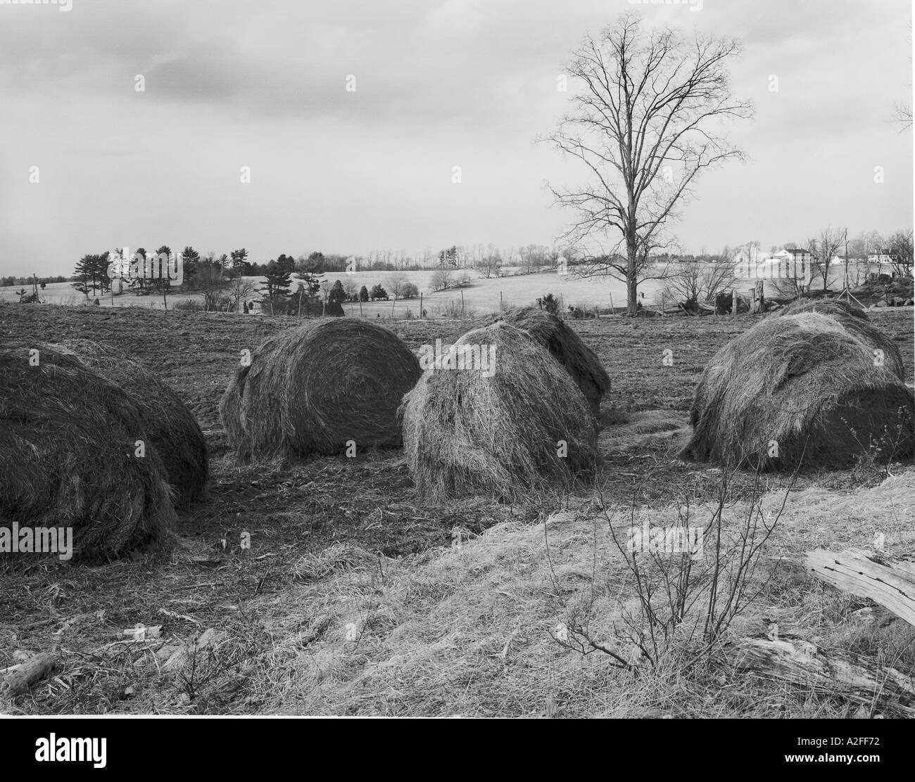 From all over the world Black and White Stock Photos & Images - Alamy