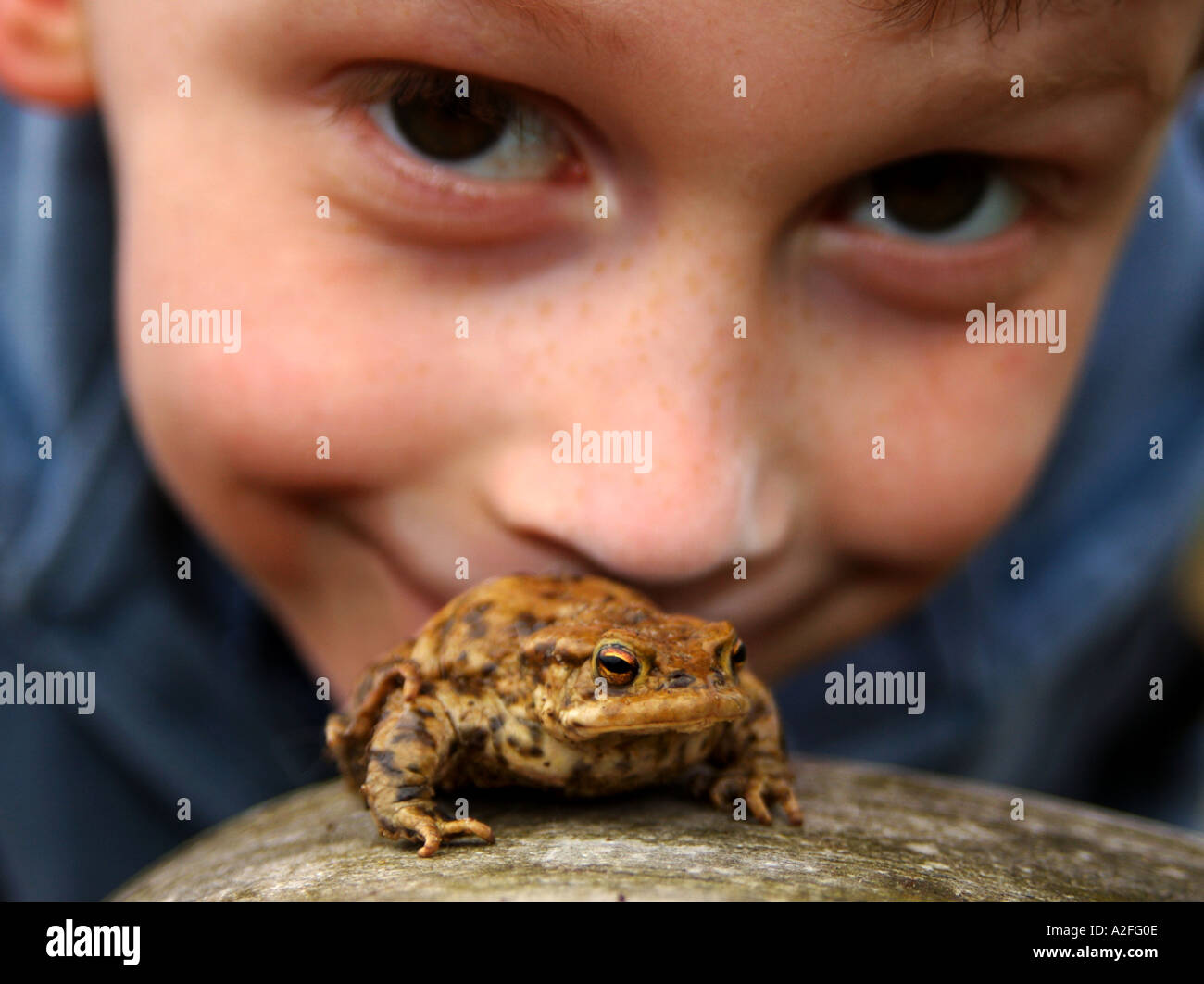 Boy look frog hi-res stock photography and images - Alamy