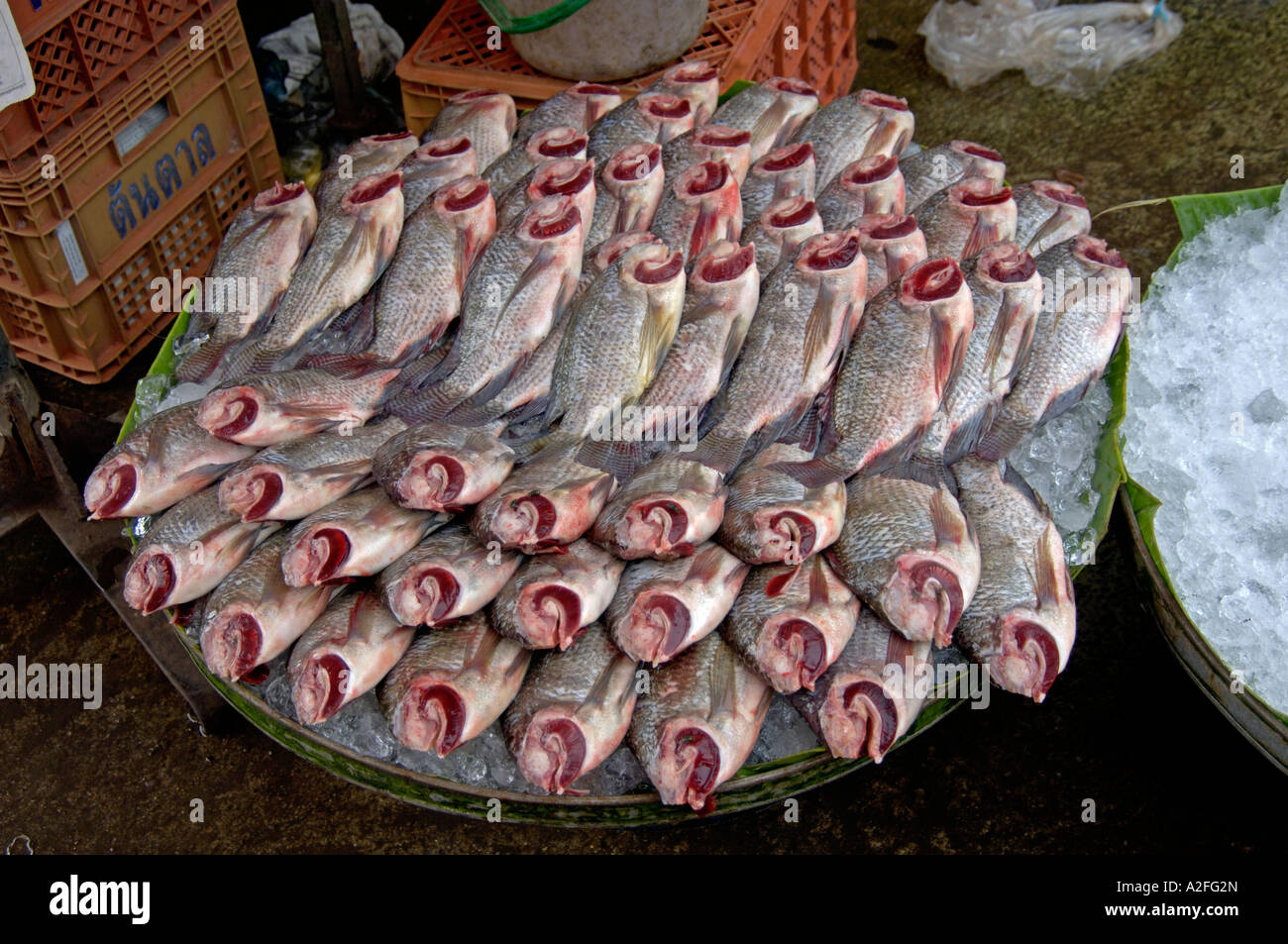 Pak chong hi-res stock photography and images - Alamy