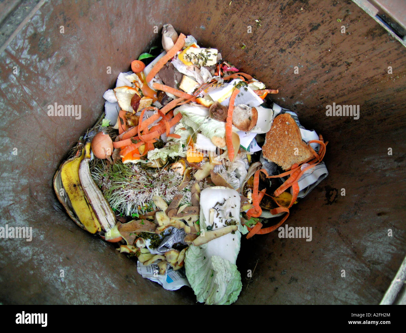 Looking into the organic dustbin, organic waste, kitchen rubbish Stock ...
