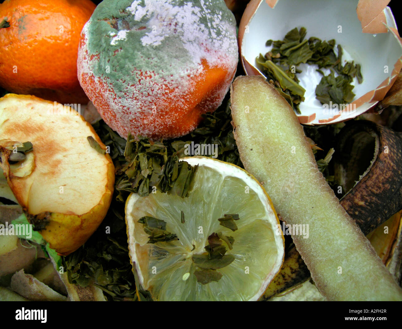 Organic waste, kitchen rubbish Stock Photo - Alamy