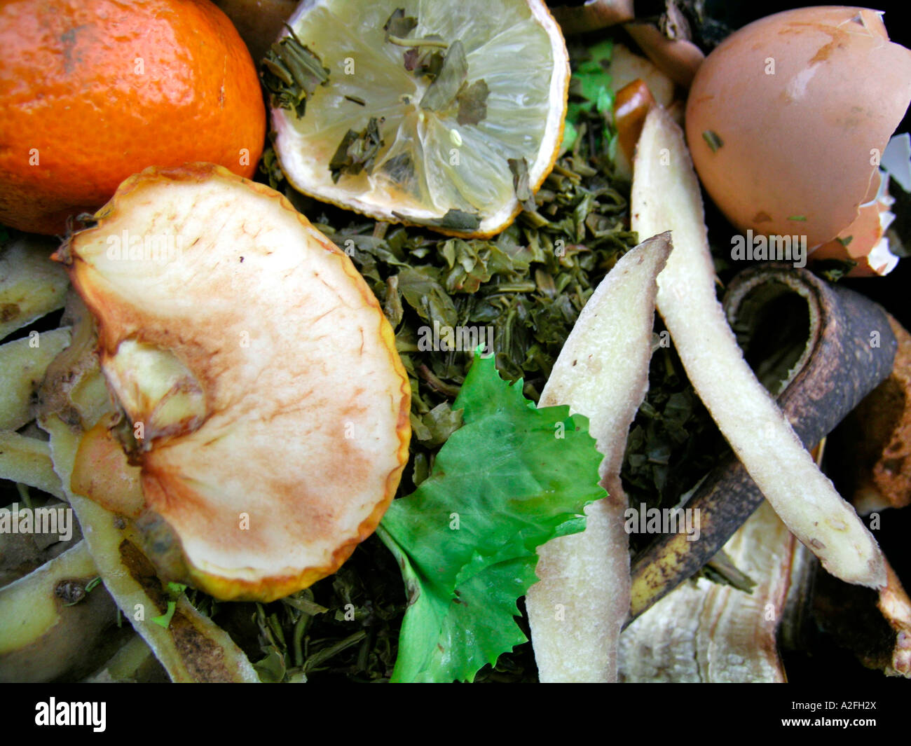 Organic waste, kitchen rubbish Stock Photo - Alamy
