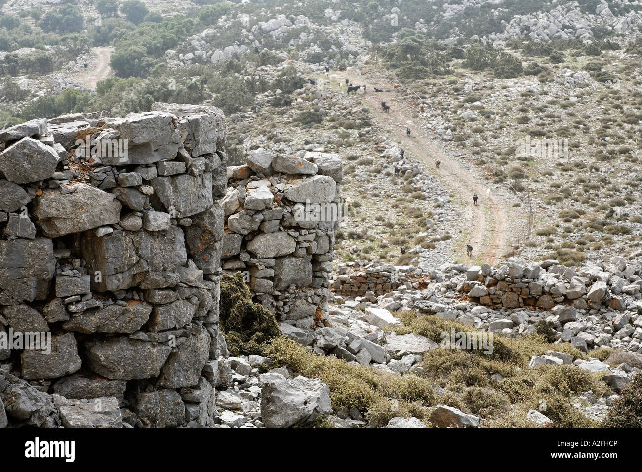 Old windmills, Tzermiadon (Tzermiado), Lasithi Plateau, Eastern Crete ...