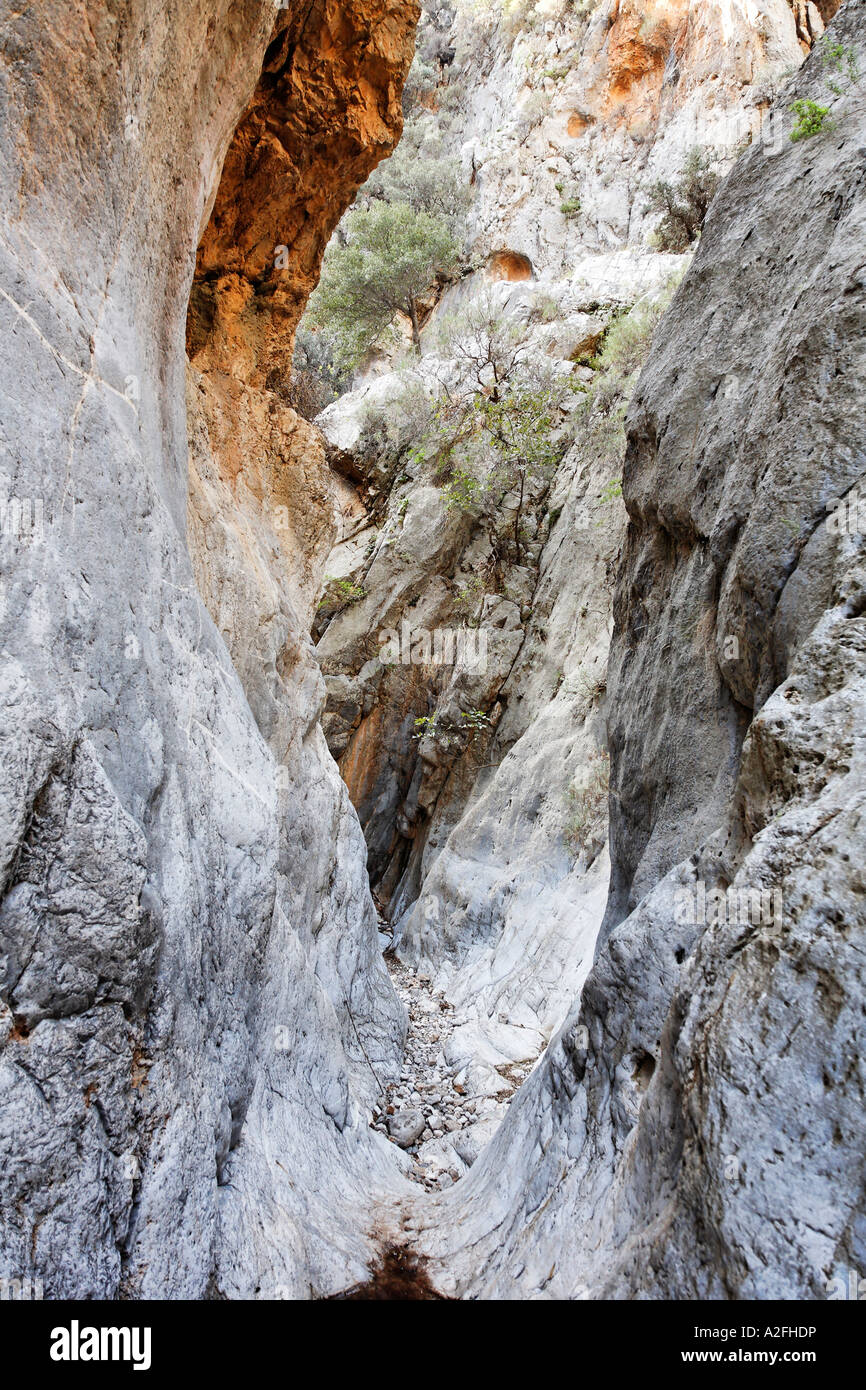 Kritsa Gorge (Kritsas gorge), Crete, Greece Stock Photo - Alamy