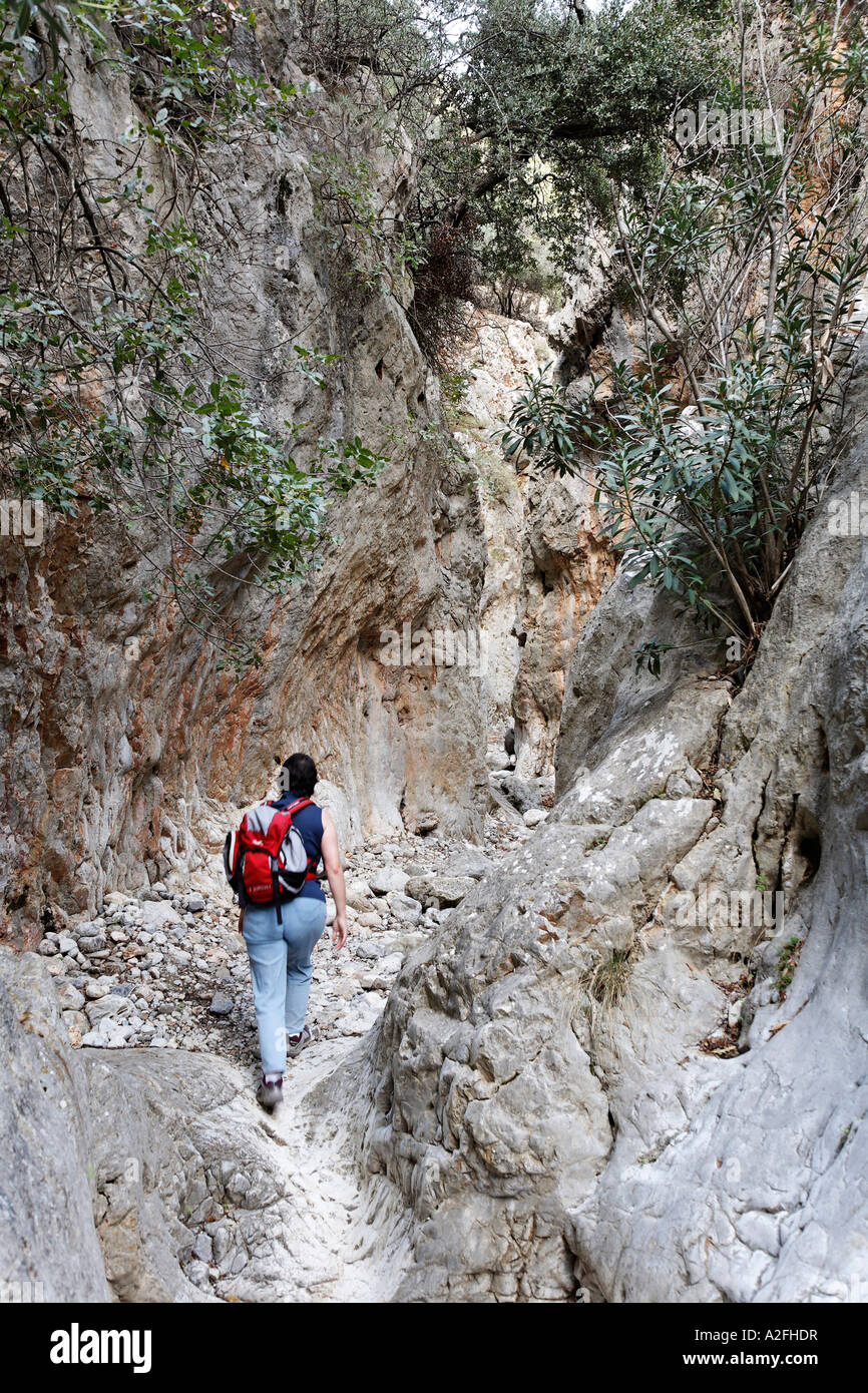 Kritsa Gorge (Kritsas gorge), Crete, Greece Stock Photo - Alamy
