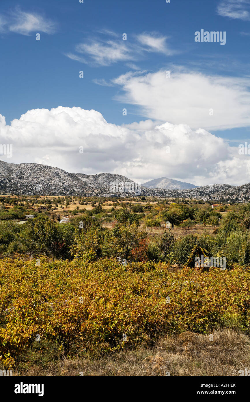 Katharos hi-res stock photography and images - Alamy