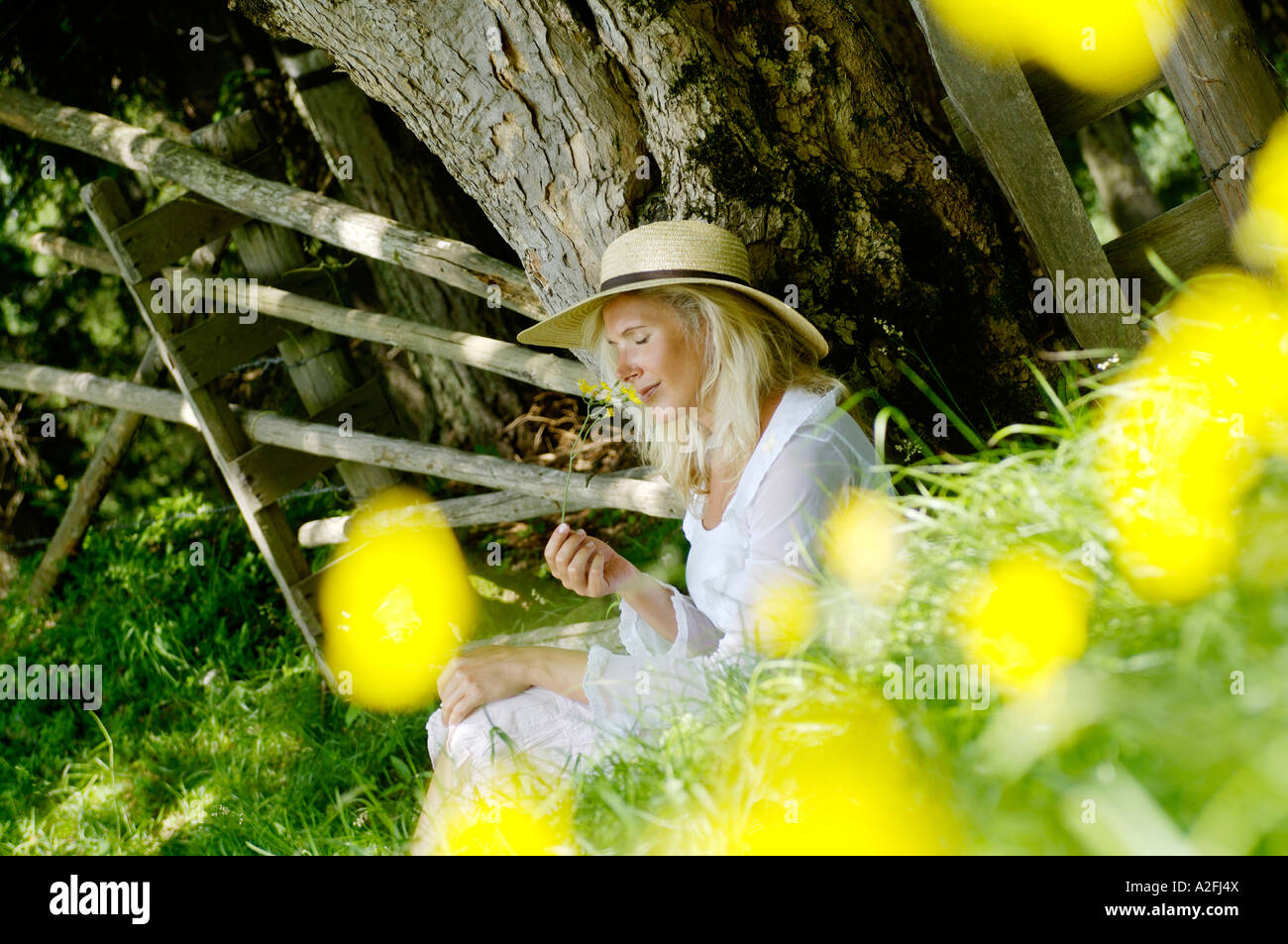 Young woman relaxing under tree Stock Photo - Alamy Young woman relaxing under tree Stock Photo - Alamy